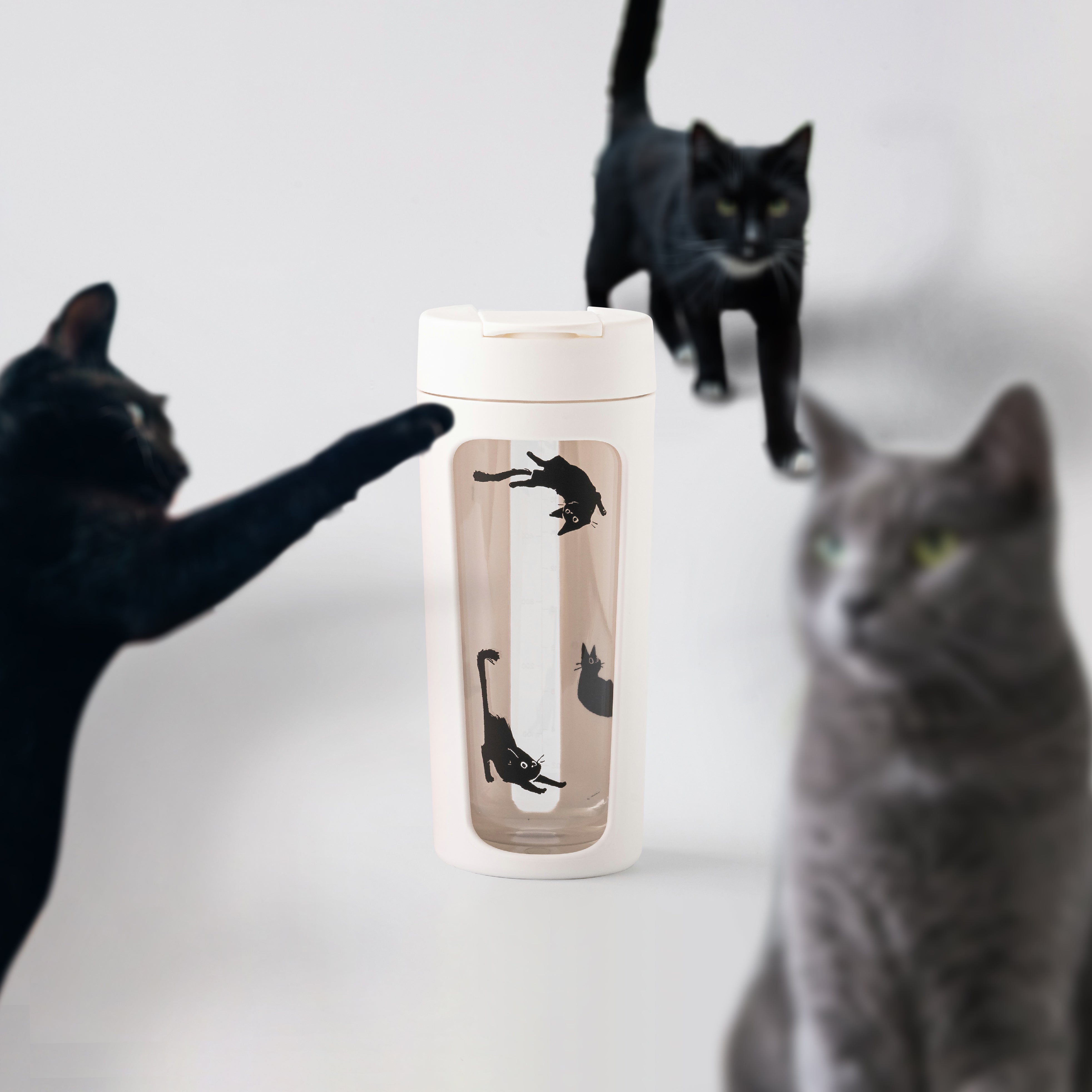 S+｜ ECOZEN慵懶貓純粹杯 700ml（日常款） – S+ Sunshing